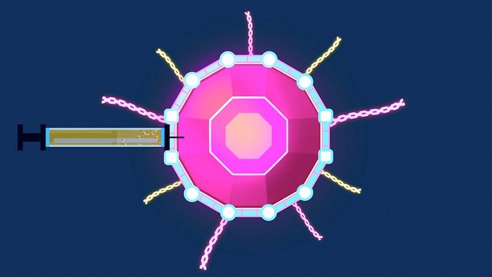 Virus Wars | NOVA Labs