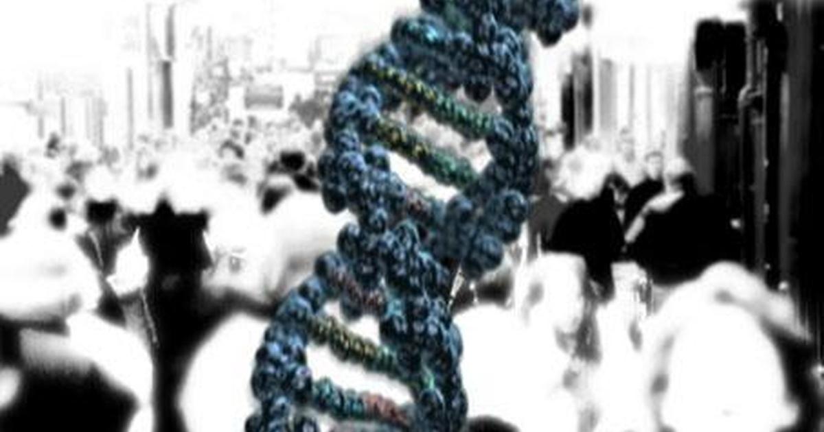 NOVA scienceNOW | Video Short: Personal Genome Project | PBS