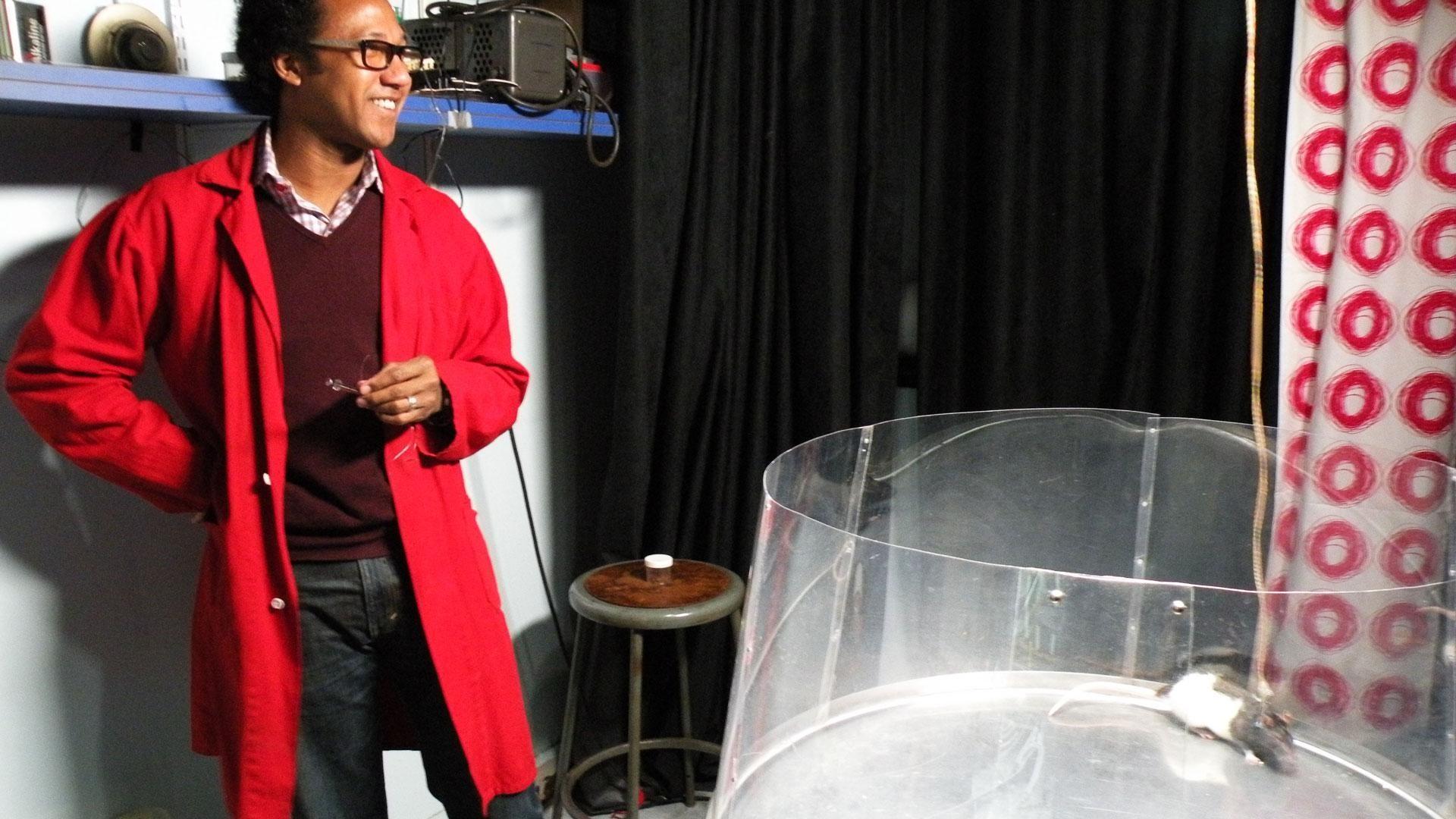 Profile: Andre Fenton | NOVA scienceNOW | THIRTEEN - New York Public Media