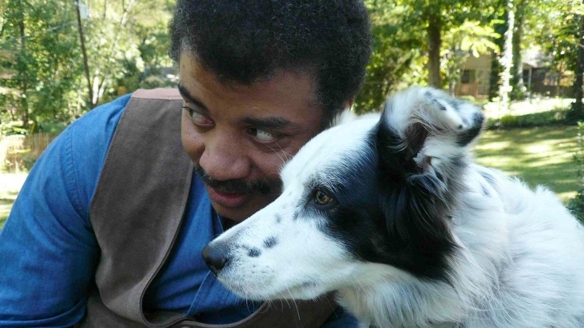 How Smart Are Dogs? | NOVA scienceNOW | THIRTEEN - New York Public Media