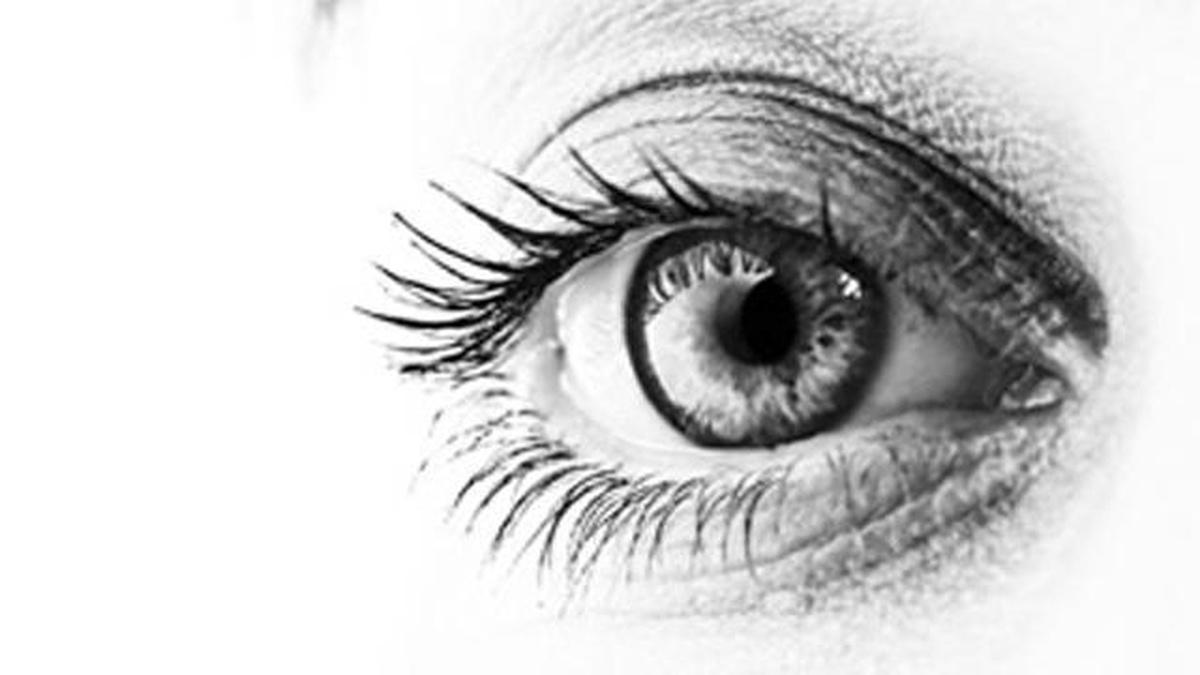 Change Blindness | NOVA scienceNOW | NJ PBS