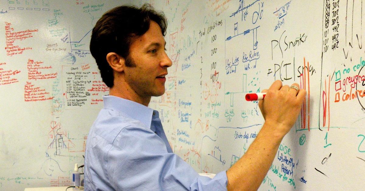 NOVA scienceNOW | Profile: David Eagleman | Season 5 | Episode 3 | PBS