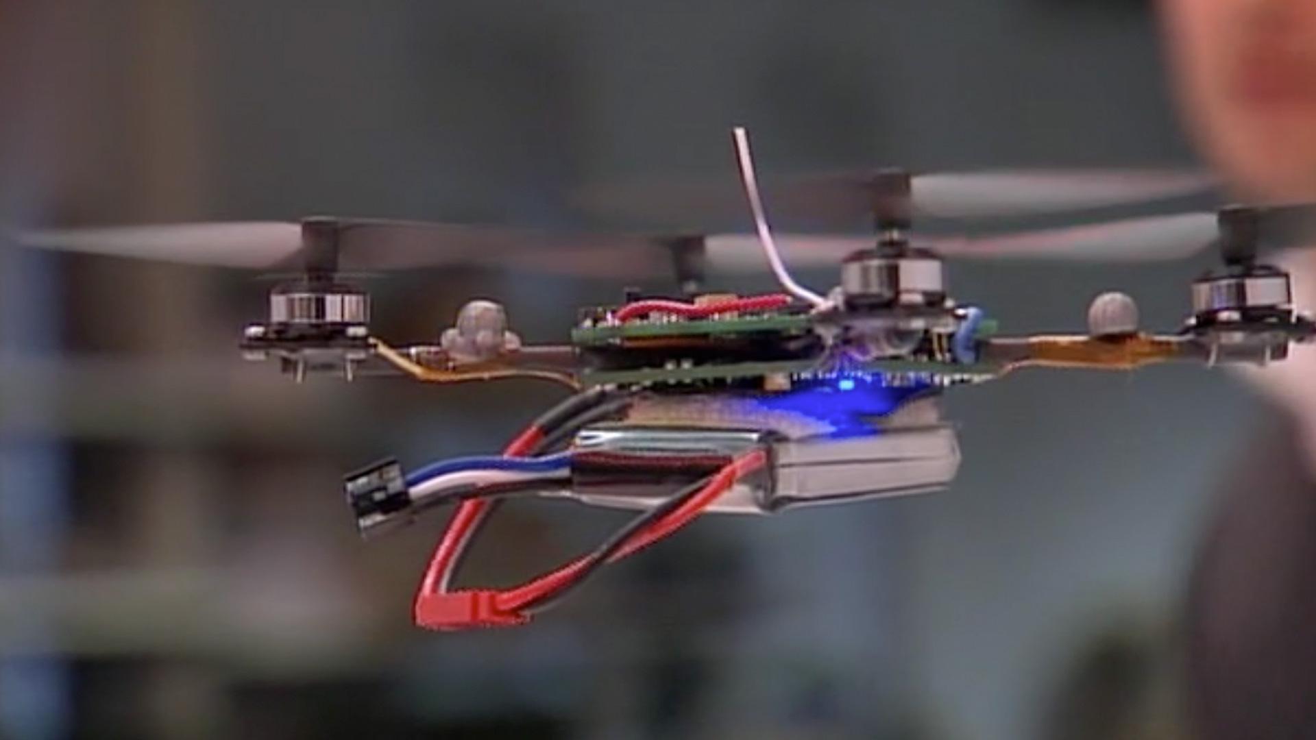 Swarming Robots | NOVA | THIRTEEN - New York Public Media