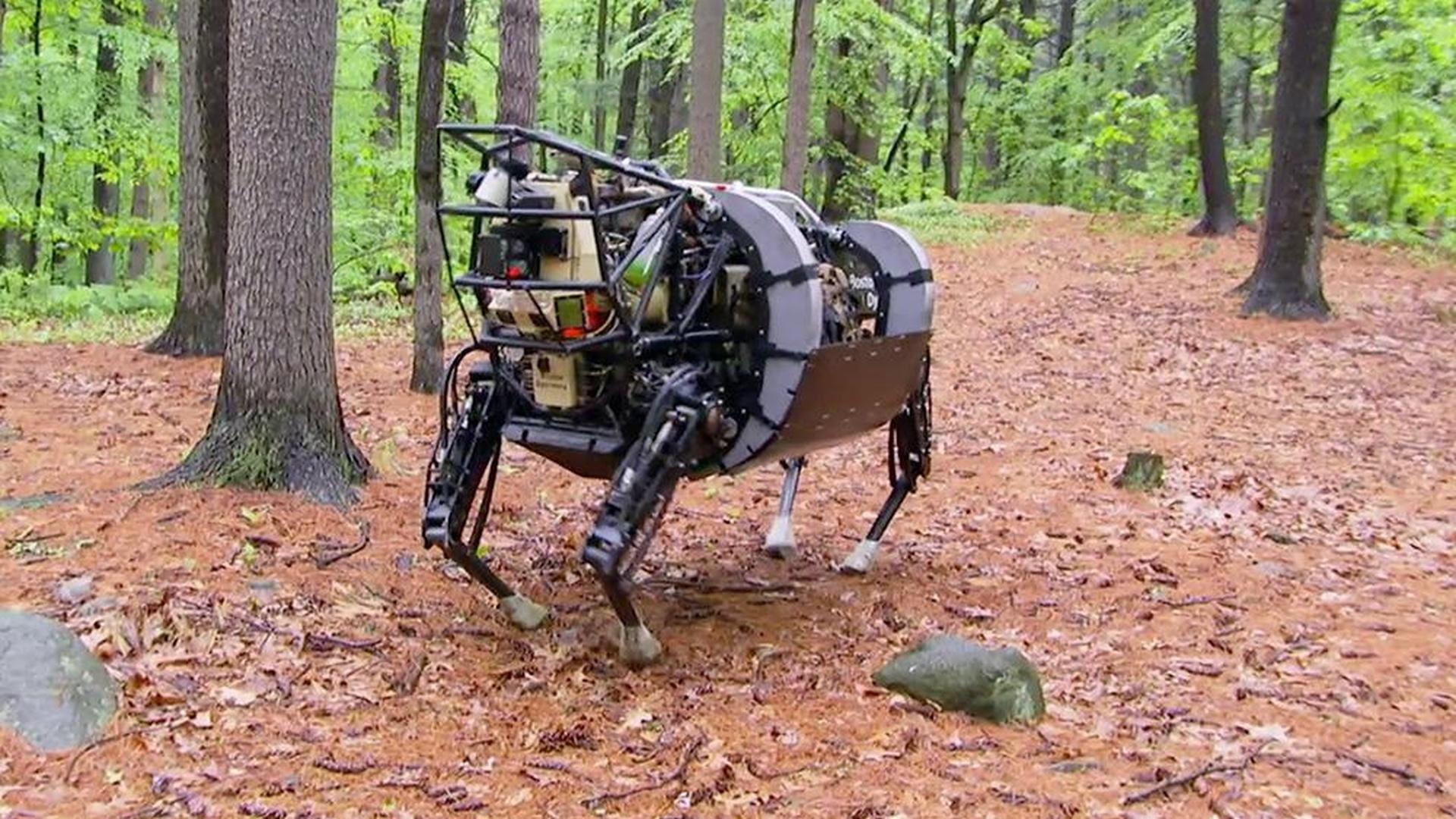 Animal Robot 1 | NOVA | THIRTEEN - New York Public Media