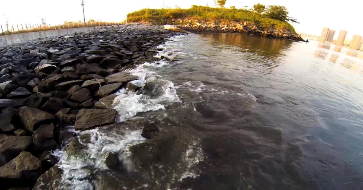 NOVA | Natural Flood Protection | Season 40 | Episode 17 | PBS