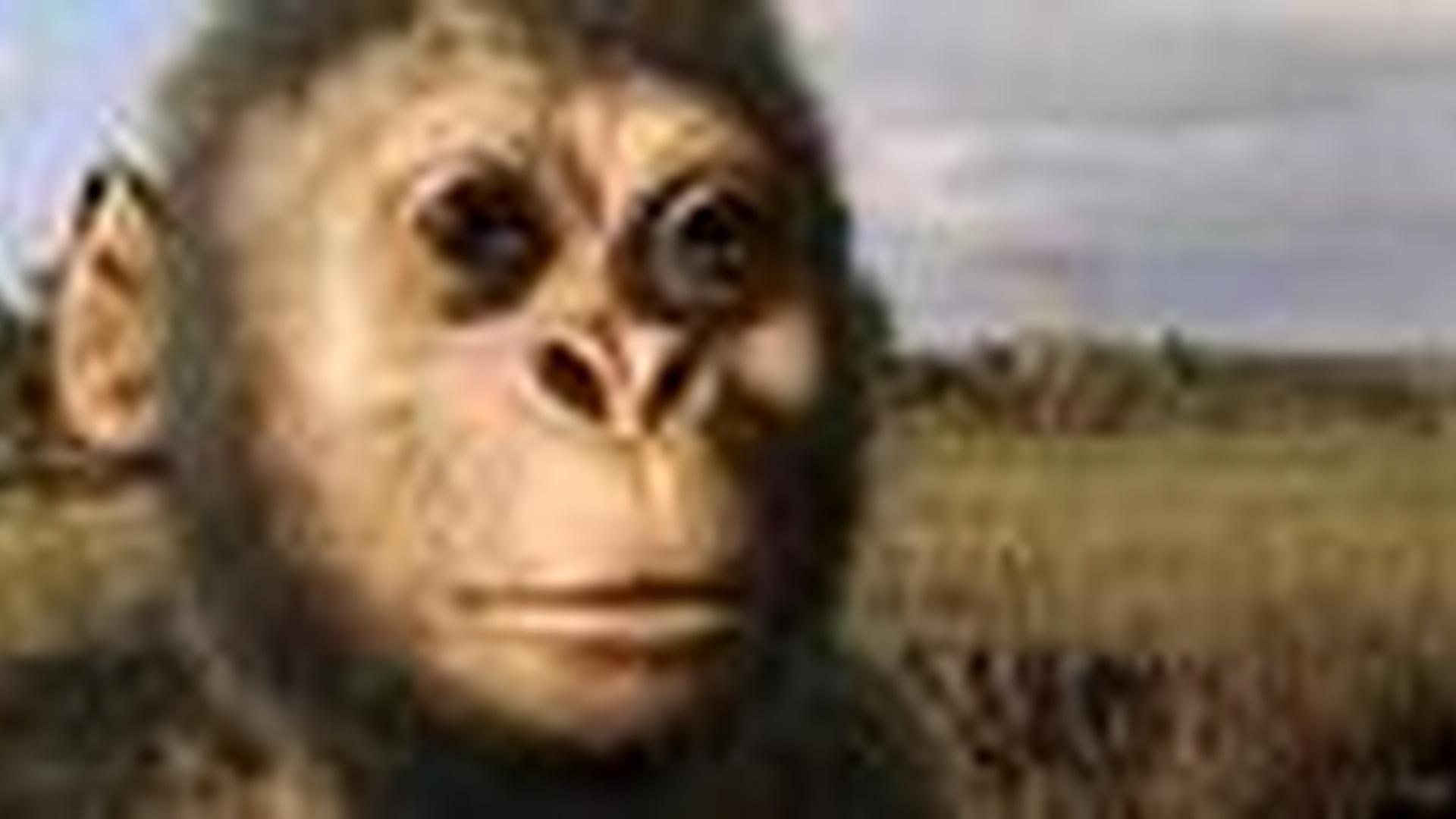 Becoming Human Part 1 Preview | NOVA | NJ PBS