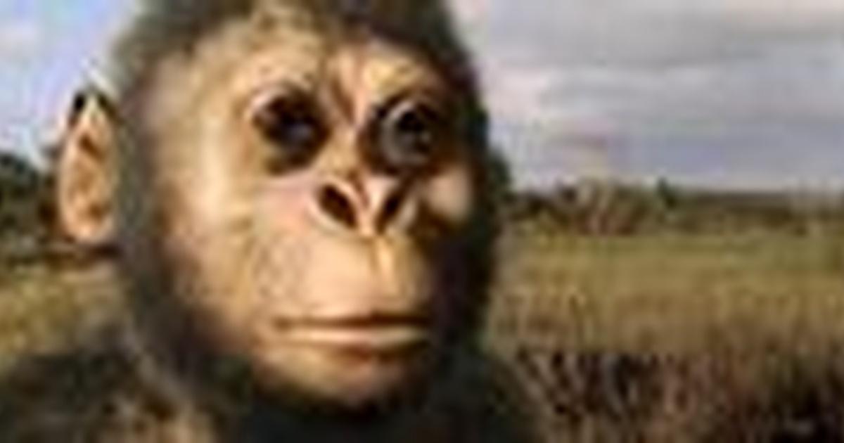 NOVA | Becoming Human Part 1 Preview | Season 36 | Episode 13 | WHYY