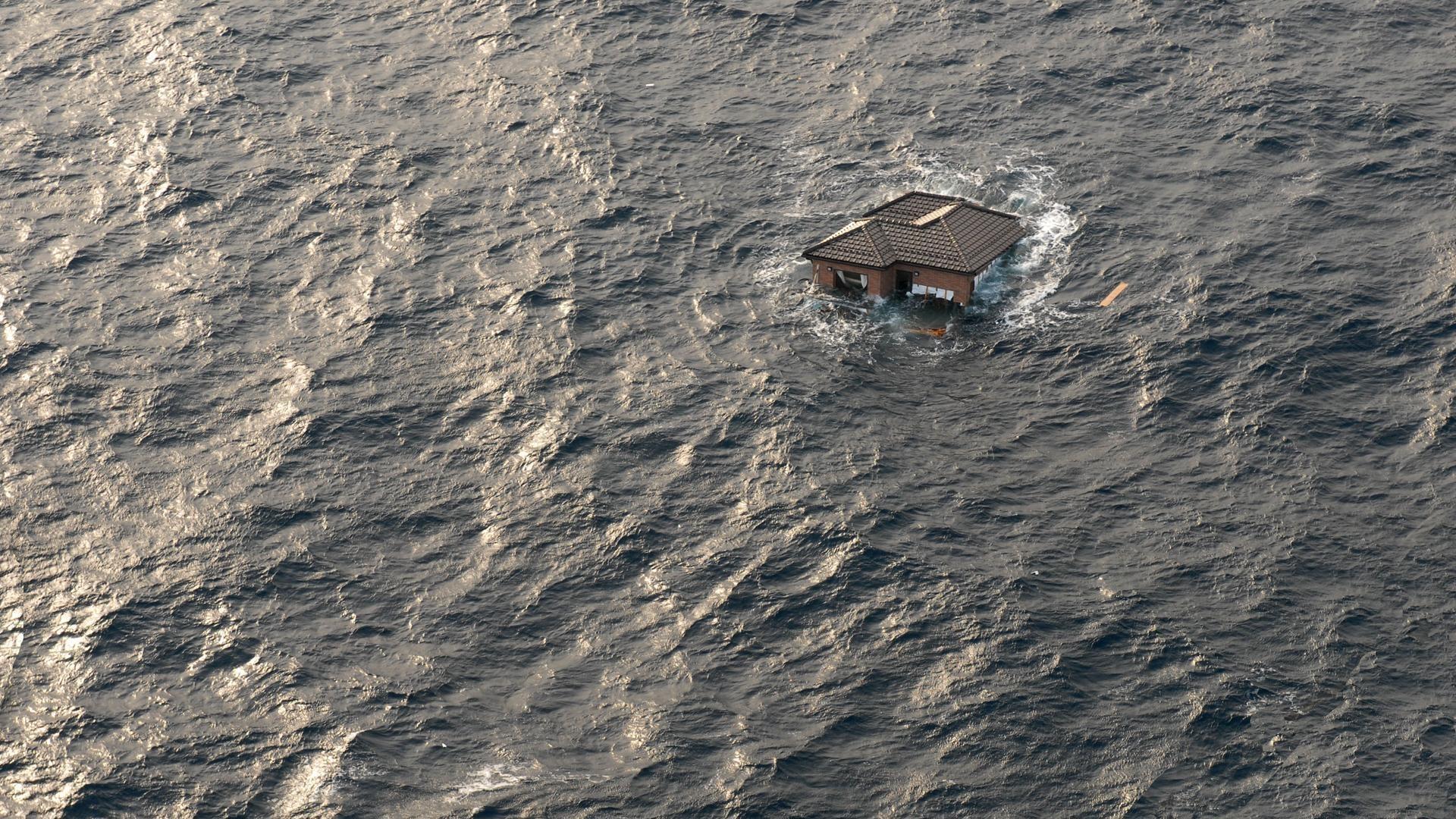 Surviving the Tsunami Preview | NOVA | ALL ARTS