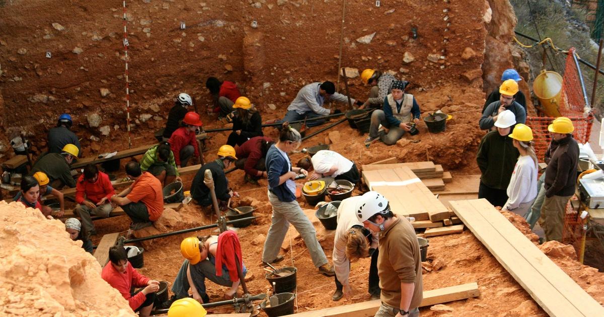 NOVA | Becoming Human Part 2 | Season 36 | Episode 14 | PBS