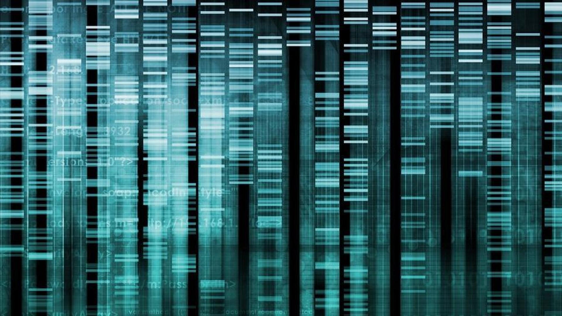 Cracking Your Genetic Code Preview | NOVA | NJ PBS