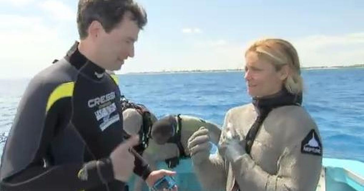 NOVA | Making Stuff Preview | Season 38 | Episode 2 | PBS