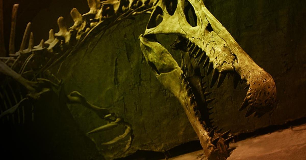 NOVA | Bigger Than T. rex Preview | Season 41 | Episode 19 | PBS