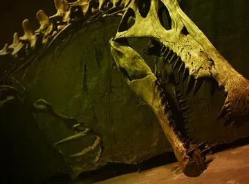 NOVA | Day the Dinosaurs Died | Season 44 | Episode 21 | PBS