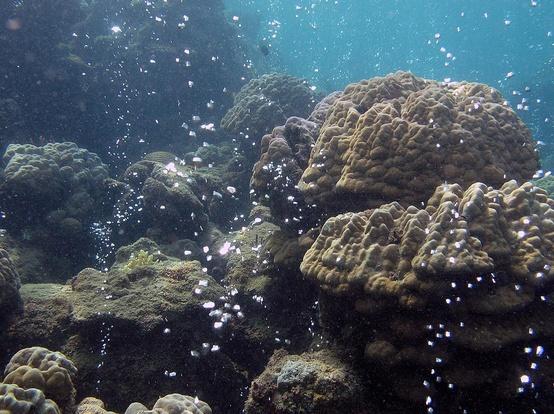 NOVA | Saving the Dead Sea | Season 46 | Episode 7 | PBS