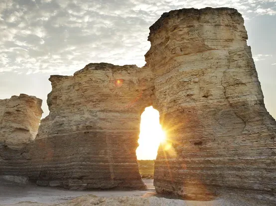 NOVA | Alaskan Dinosaurs | Season 48 | Episode 21 | PBS