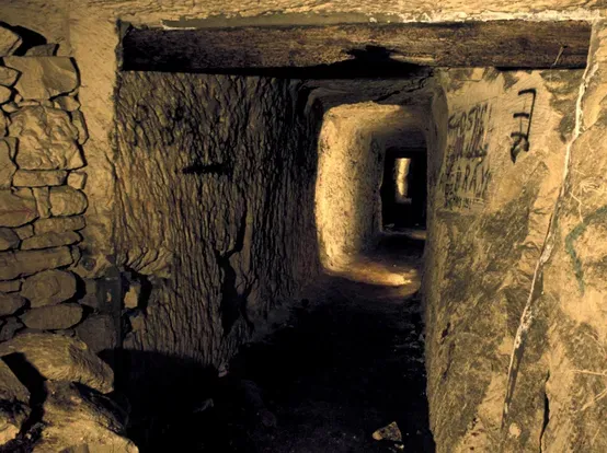 NOVA | Last B-24 | Season 45 | Episode 15 | PBS