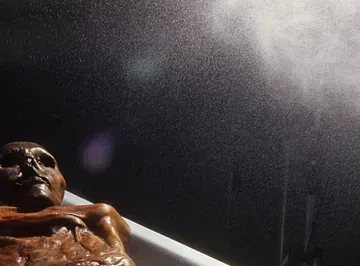 NOVA | Hunt for the Oldest DNA | Season 51 | Episode 4 | PBS