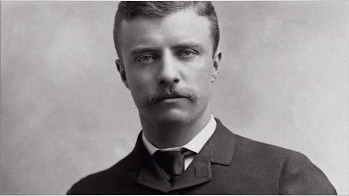 Timeline Clip - Theodore Roosevelts Political Career Starts | The ...