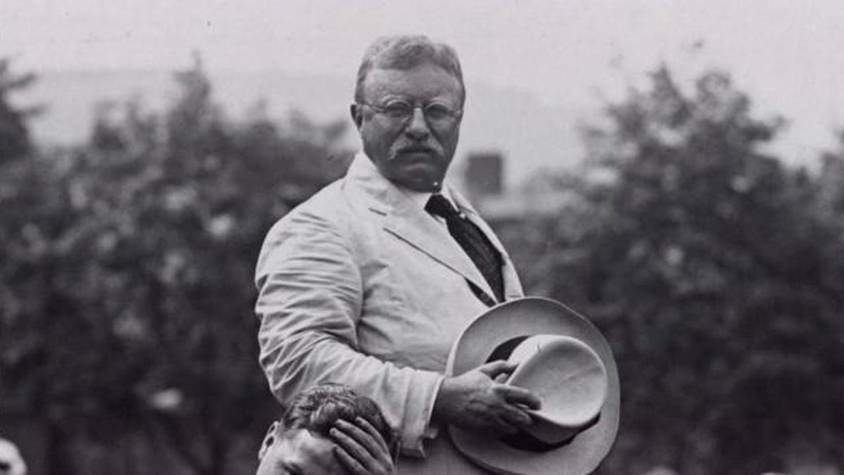 Education Clip: Theodore Roosevelt and WWI | The Roosevelts | NJ PBS