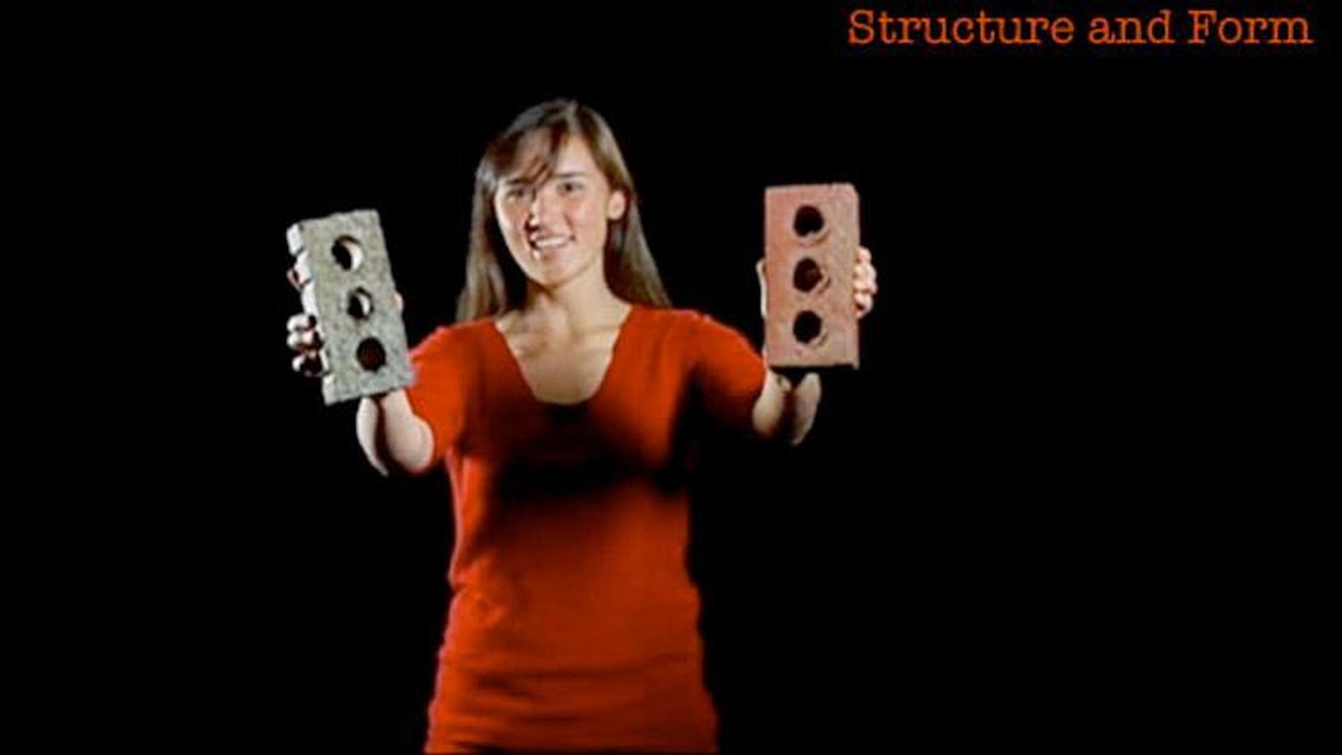 Emily Whiting: Structure and Form | Secret Life of Scientists and ...