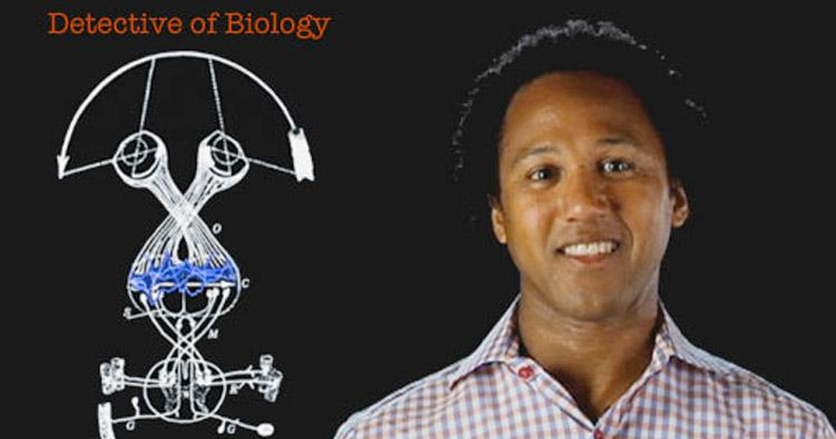 Secret Life of Scientists and Engineers | Andre Fenton: Detective of ...