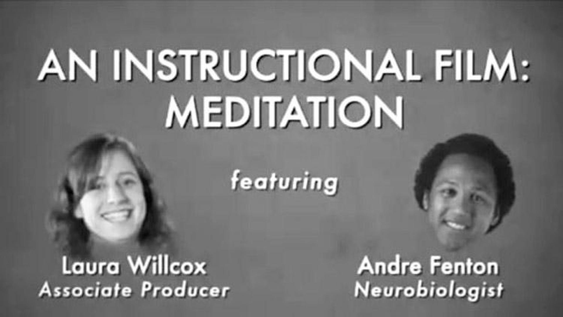 Andre Fenton: Instructional Film: Meditation | Secret Life of ...