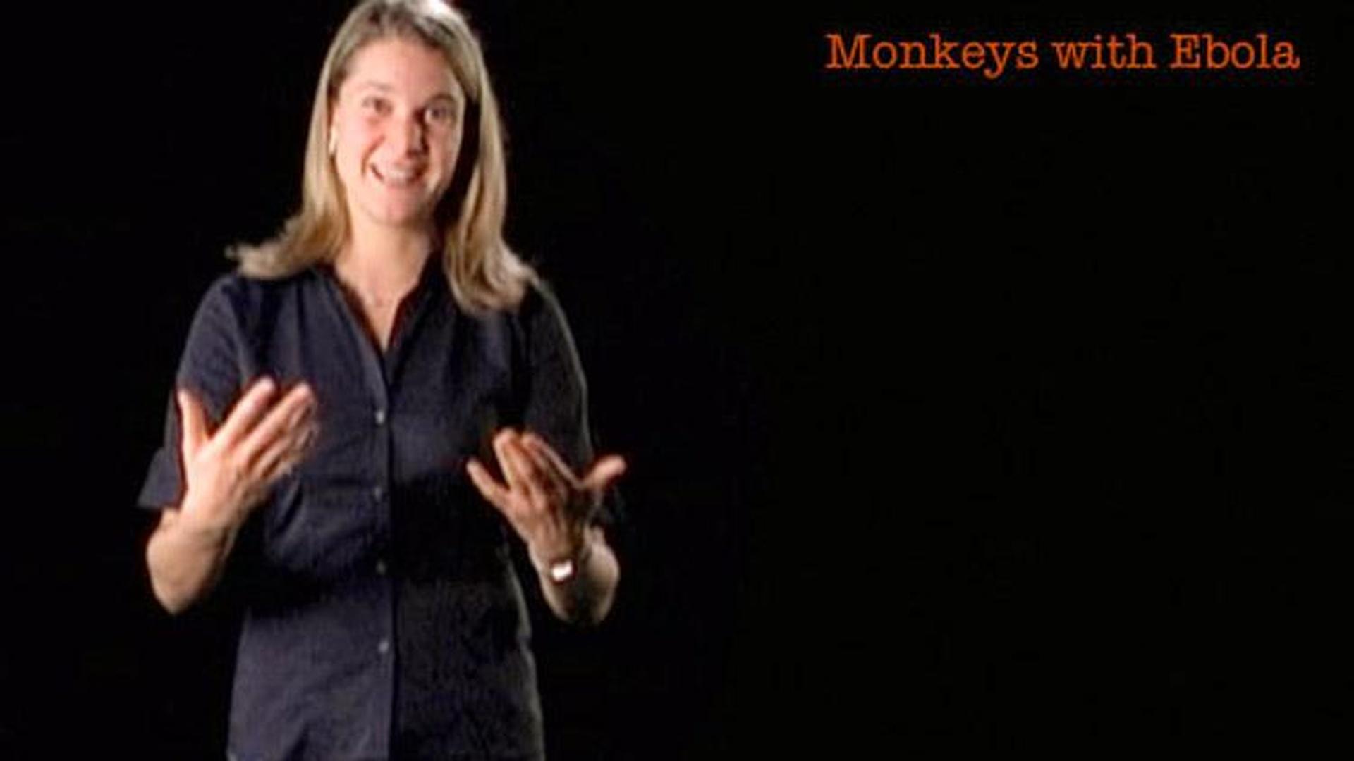 Eva Vertes: Monkeys with Ebola | Secret Life of Scientists and ...