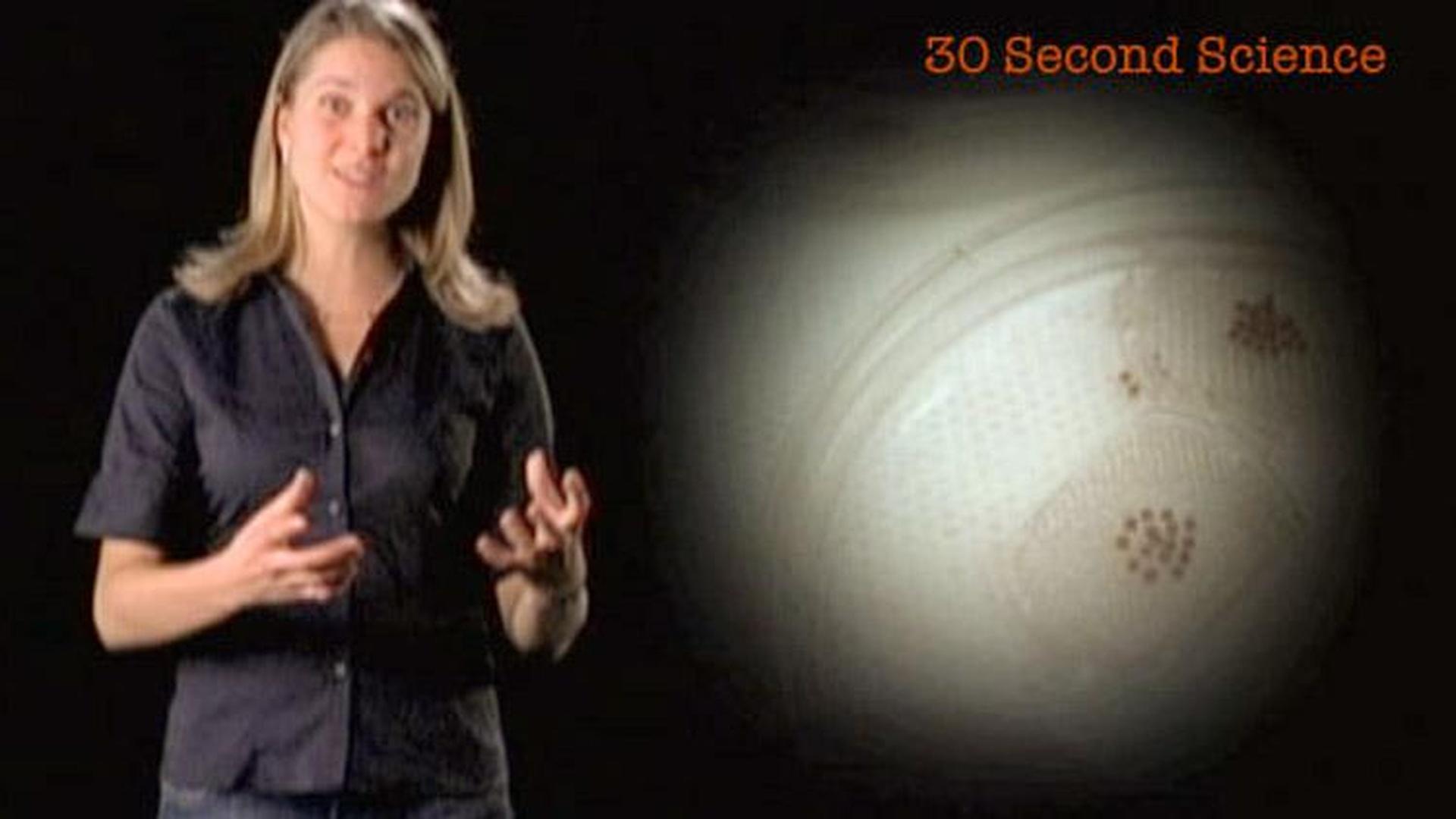 Eva Vertes: 30 Second Science | Secret Life of Scientists and Engineers ...