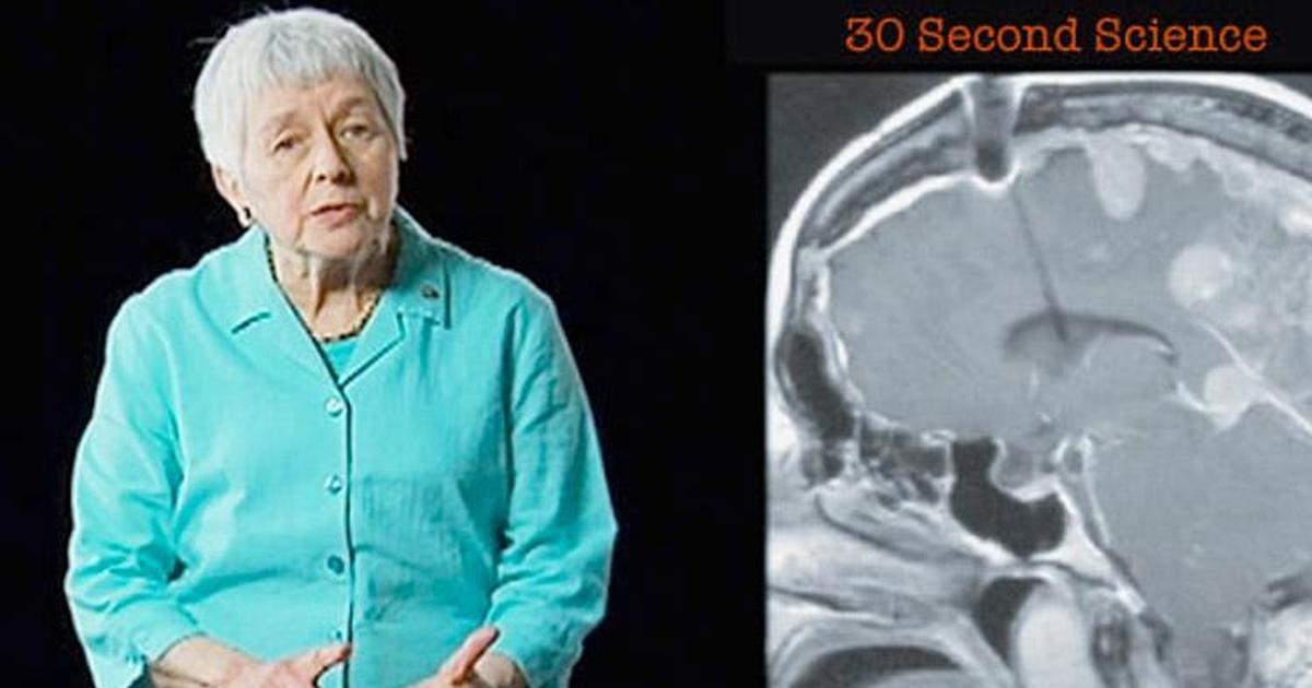 Secret Life of Scientists and Engineers | Jean Berko Gleason: 30 Second ...