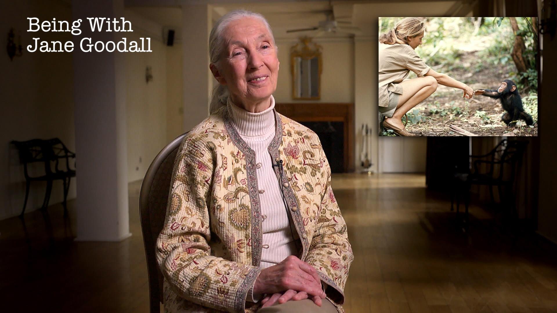 Being with Jane Goodall | Secret Life of Scientists and Engineers ...