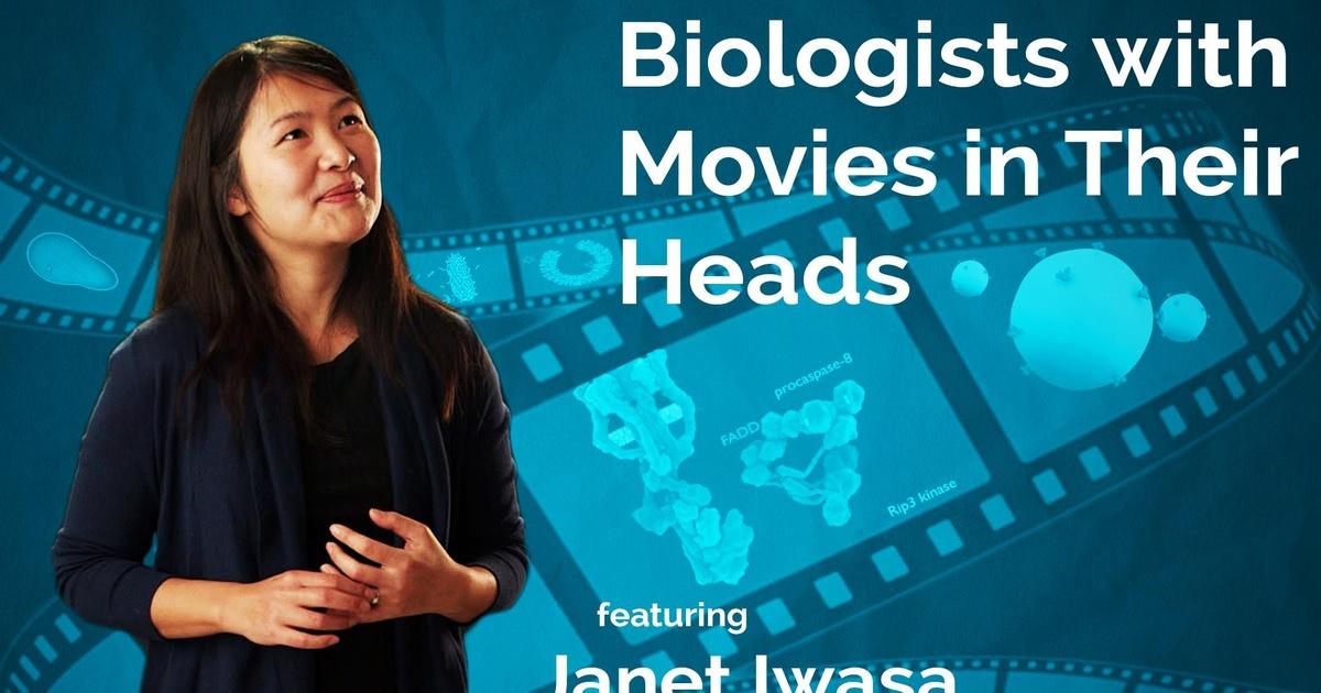 Secret Life of Scientists and Engineers | Janet Iwasa: Biologists with ...