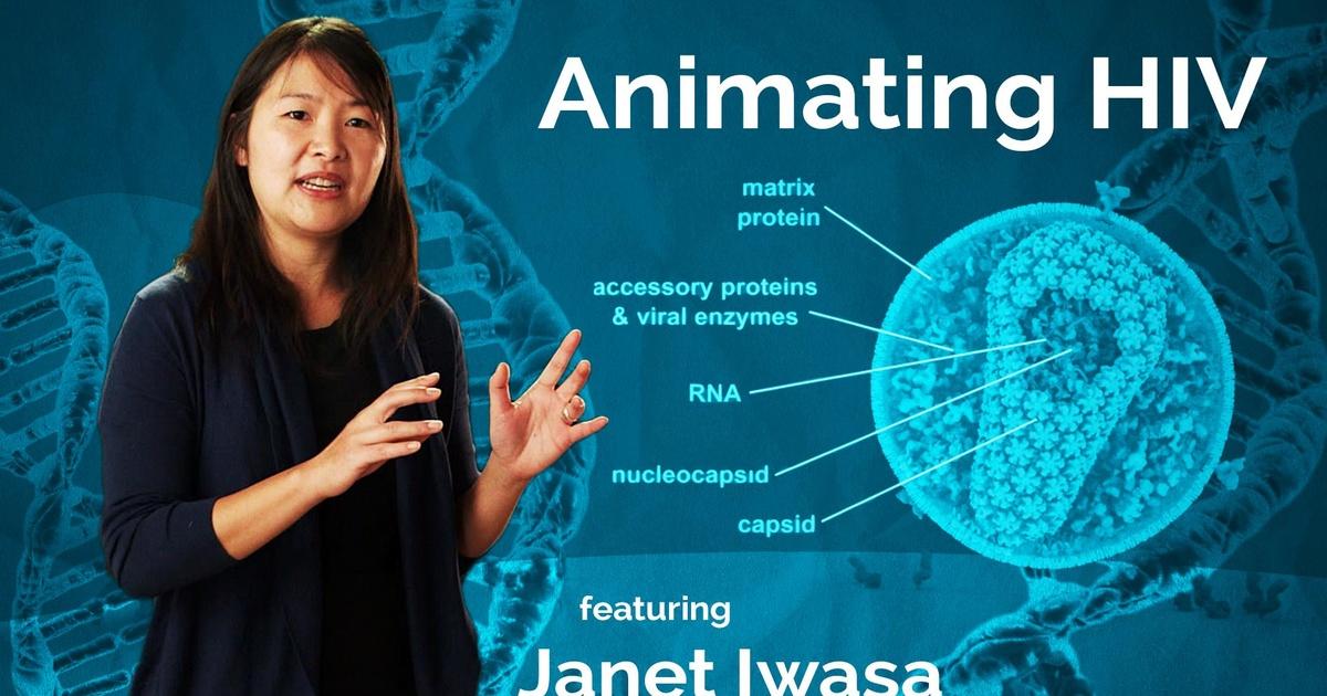 Secret Life of Scientists and Engineers | Janet Iwasa: Animating HIV ...