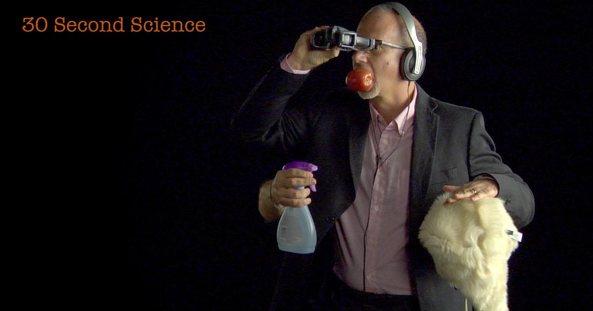 Secret Life of Scientists and Engineers | 30 Second Science: Larry ...