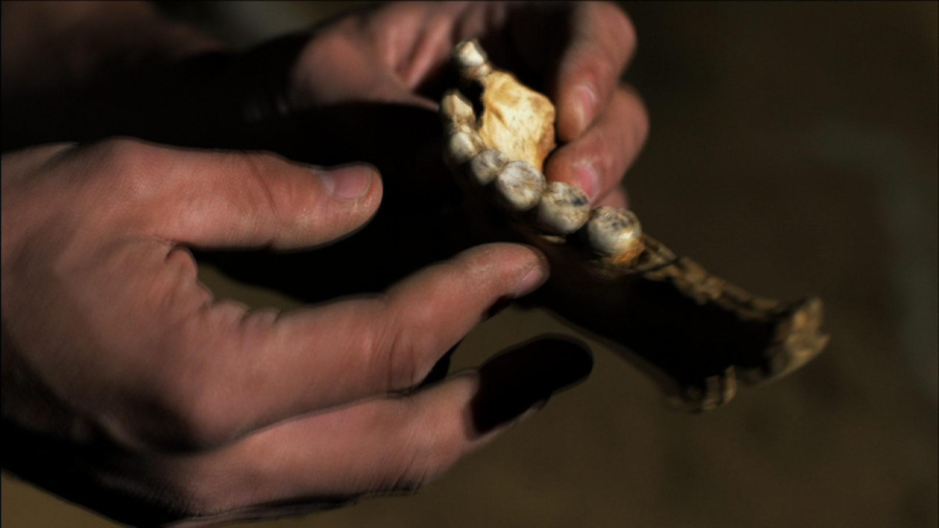 Preview | Caveman Cold Case | Secrets of the Dead | NJ PBS