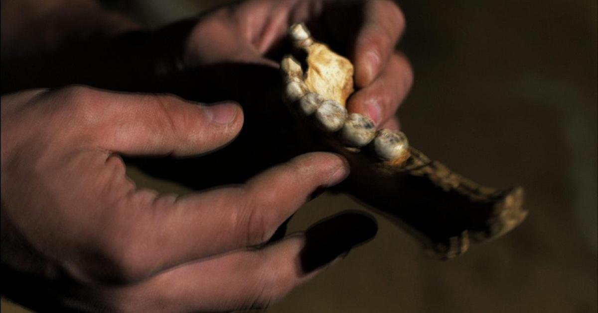 Secrets of the Dead | Preview | Caveman Cold Case | Season 12 | Episode ...