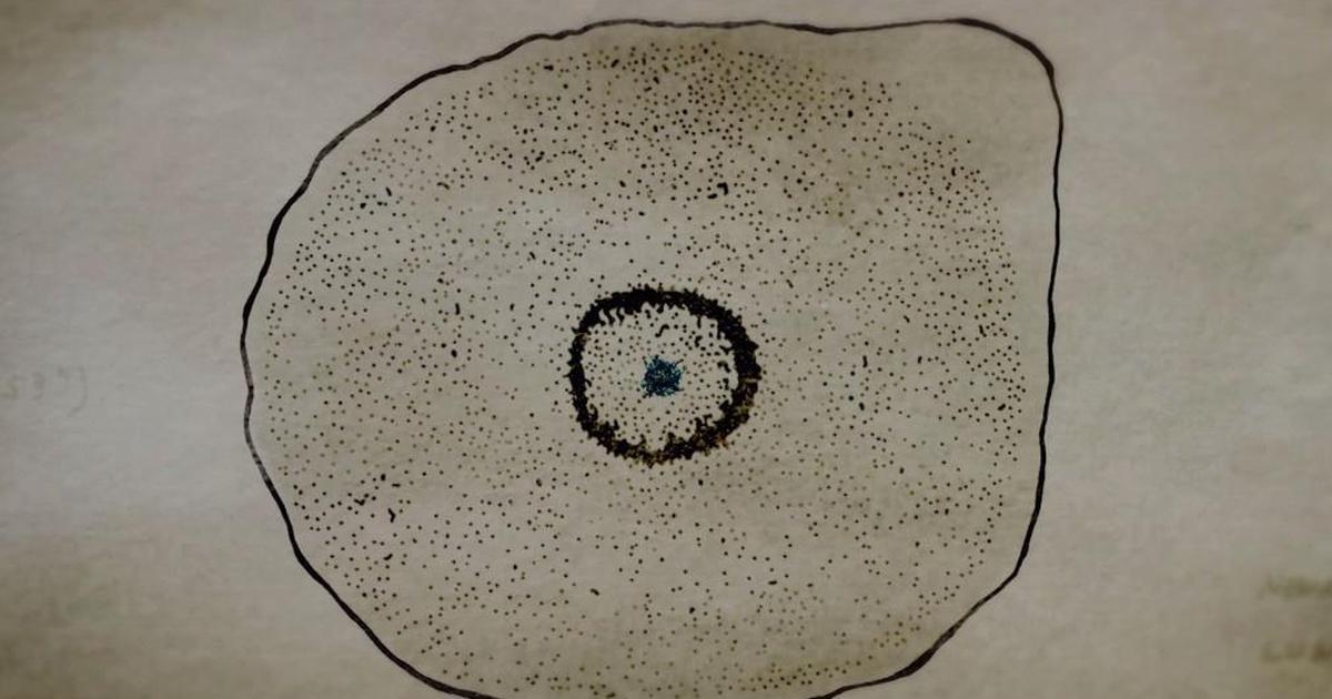 Cancer: The Emperor of All Maladies | The Discovery of the Oncogene in ...