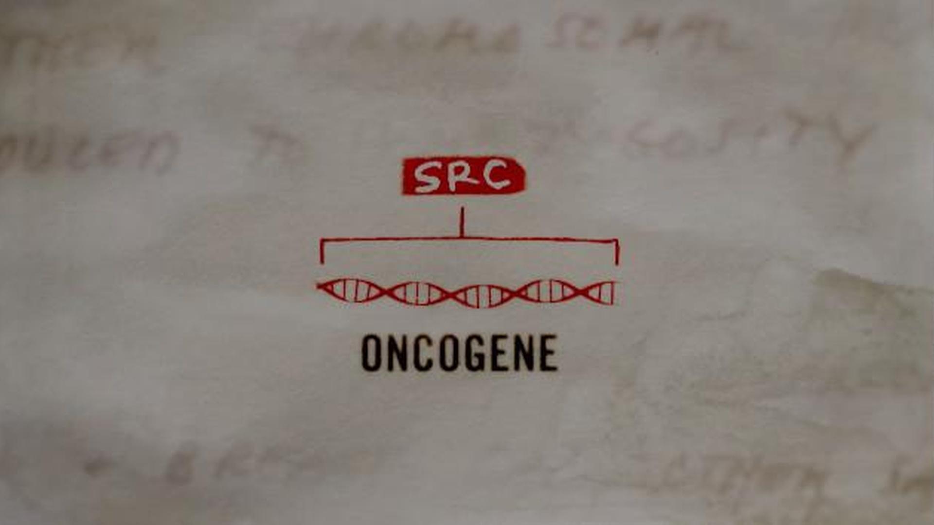 The Discovery of the Human Oncogene | Cancer: The Emperor of All ...