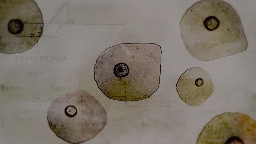 Cancer: The Emperor of All Maladies - Dr. Robert Weinberg - Twin Cities PBS