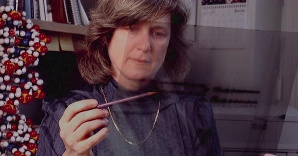 Mary-Claire King | Cancer: The Emperor of All Maladies | PBS