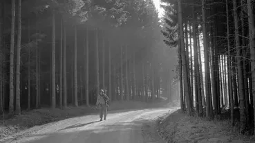 The War | The Ghost Front | Episode 6 | PBS