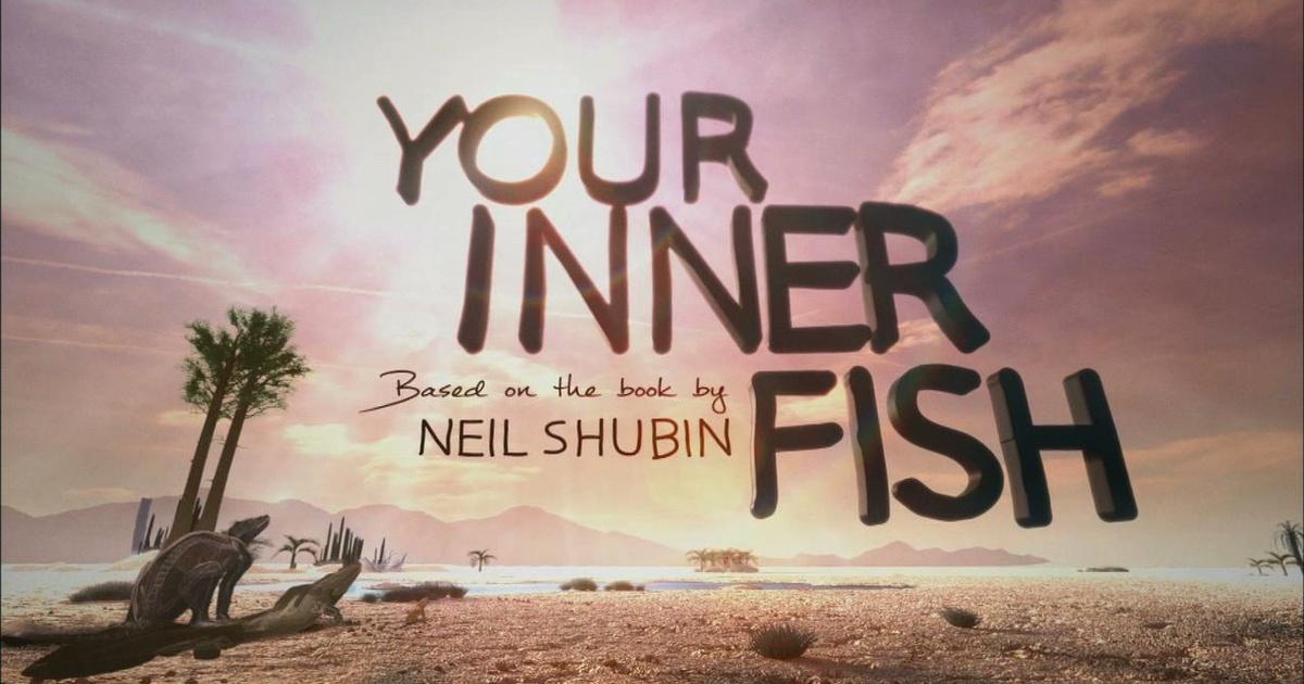 Your Inner Fish | Series Preview | PBS