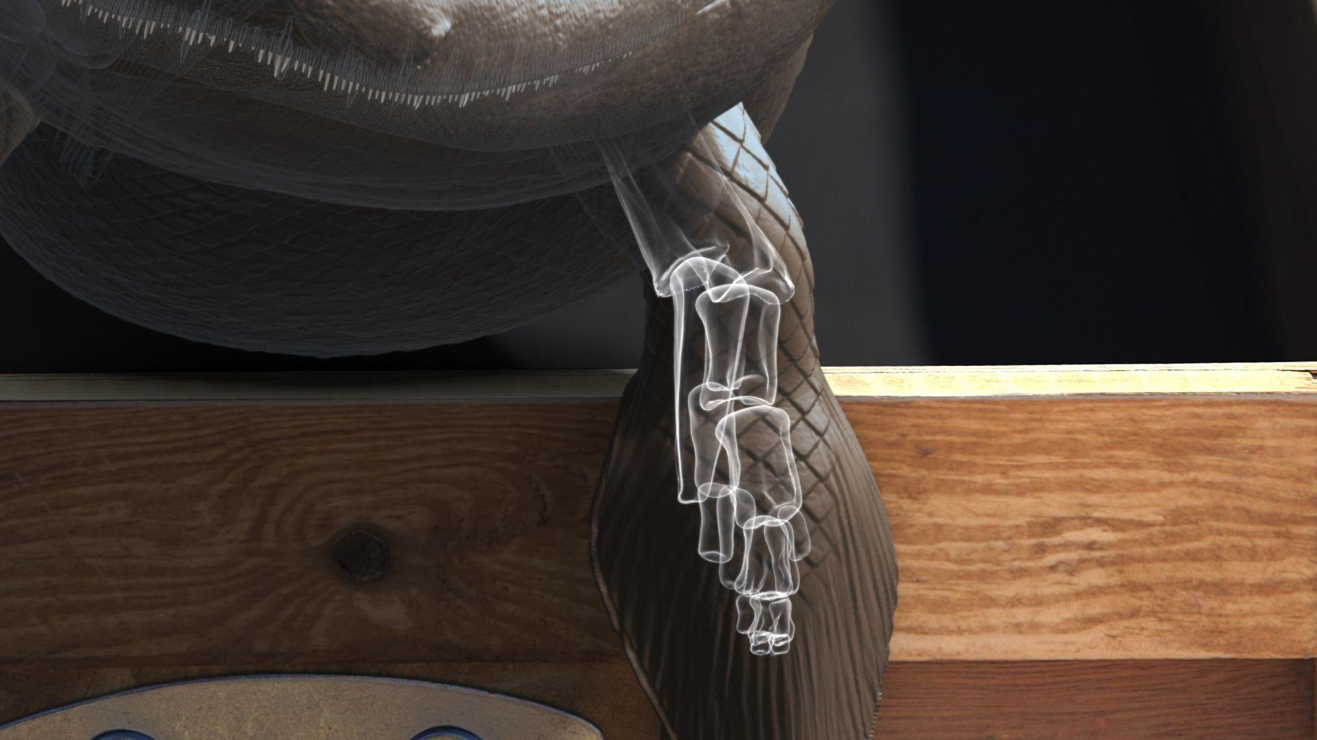 The Ancient History of the Human Hand | Your Inner Fish | THIRTEEN ...