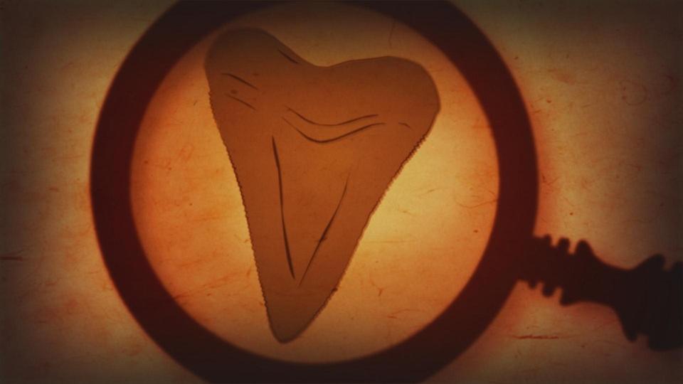 Your Inner Fish: Season 1 Extras | PBS