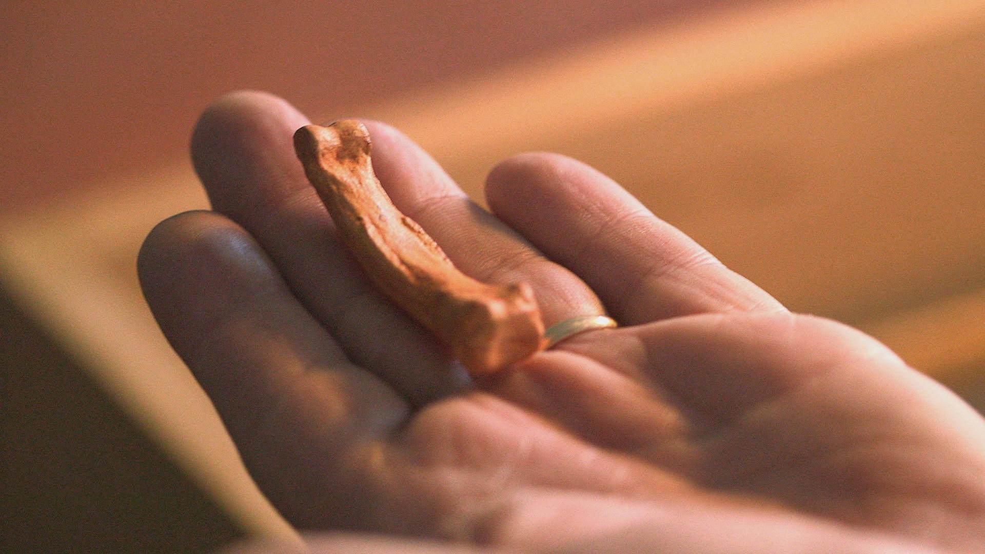 Ancient Hands, Ancient Tools | Your Inner Fish | THIRTEEN - New York ...