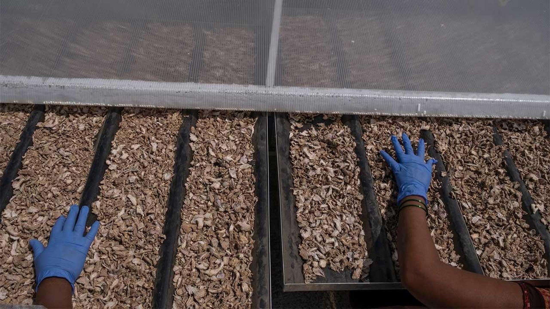 2023 Nominees: Build a Waste-Free World | The Earthshot Prize ...