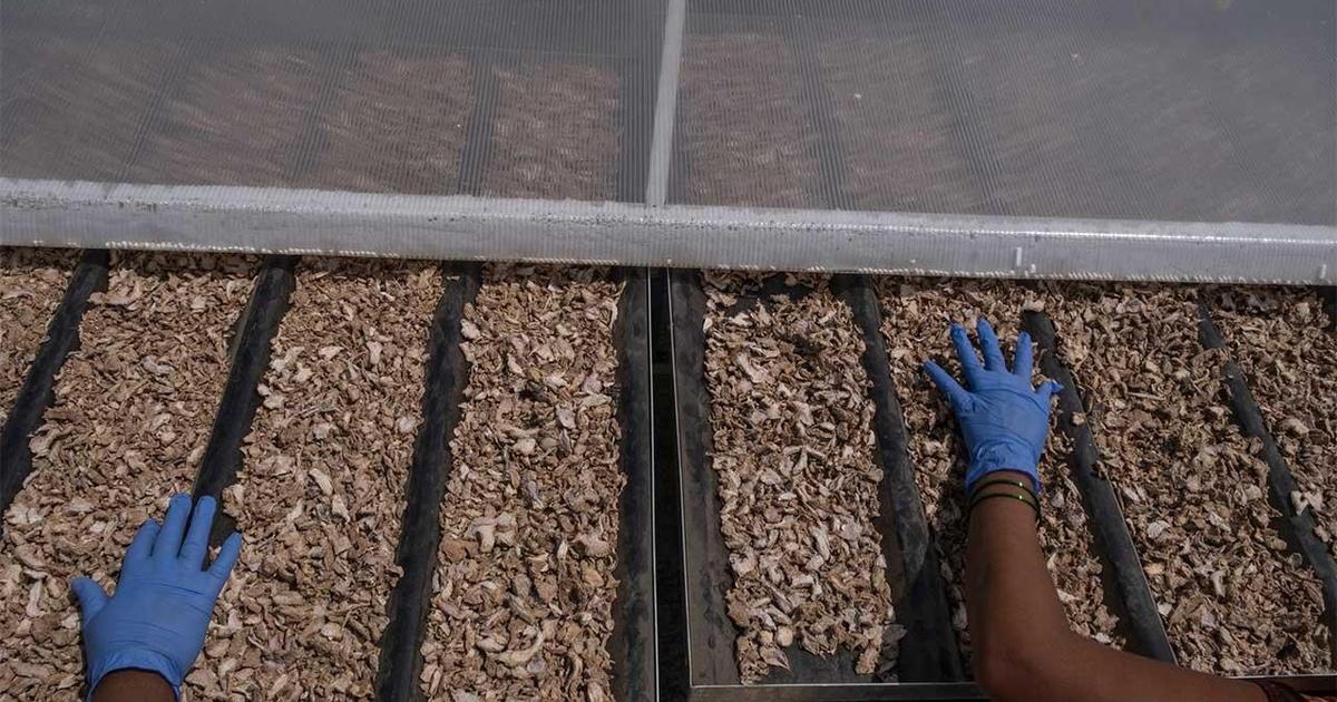 The Earthshot Prize | 2023 Nominees: Build a Waste-Free World | Season ...