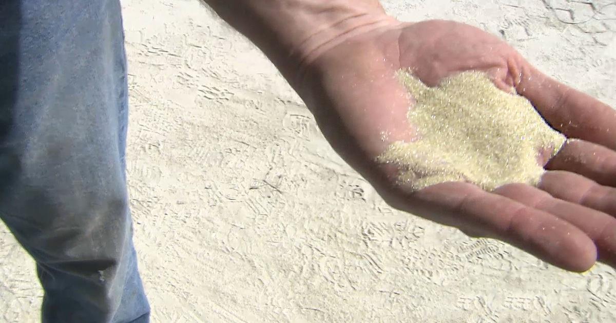 Science Trek | Garbage: On Location | PBS