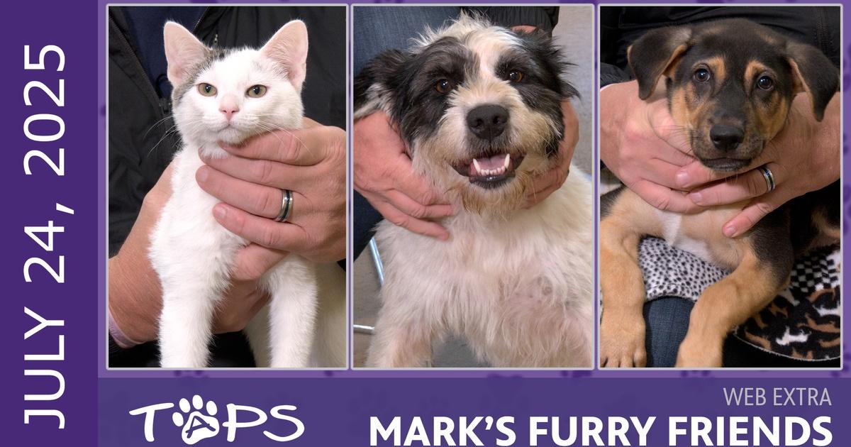 Mark’s Furry Friends | 07/17/2025 | Justin, Molly Holly and Bentley ...