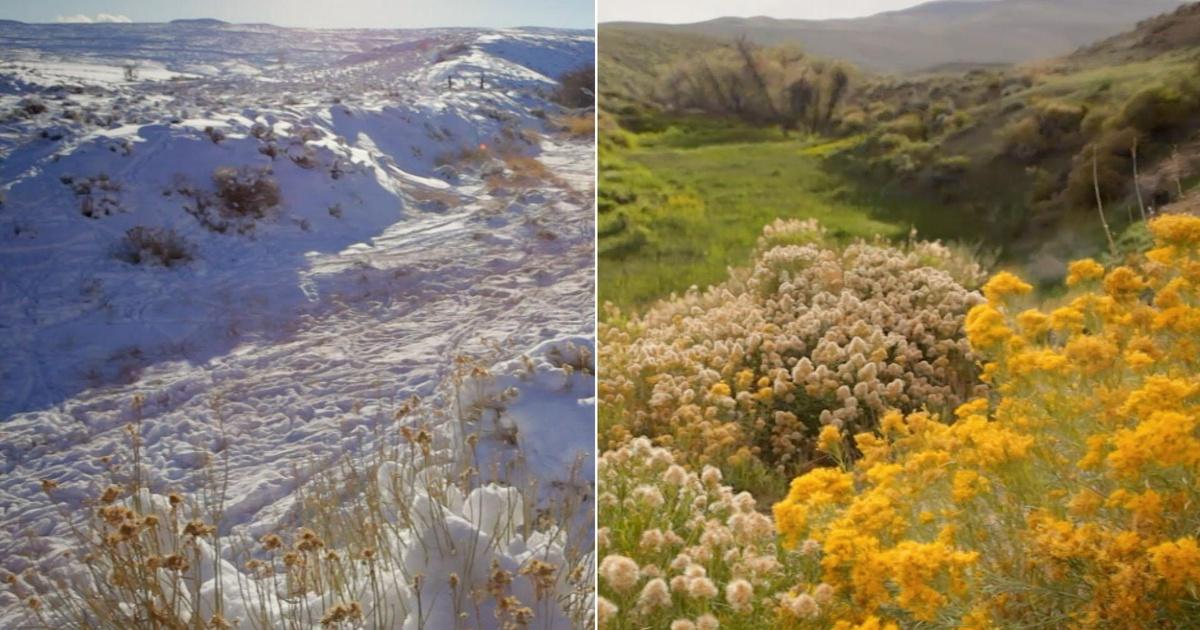 Nature | Spring Time-lapse | Season 37 | Episode 13 | PBS