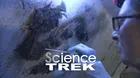 Science Trek | PBS